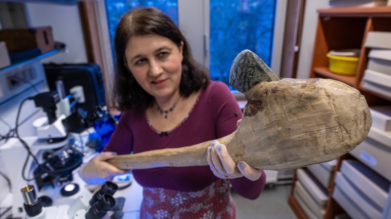 Stone Age women were buried with as many tools as men | Popular Science