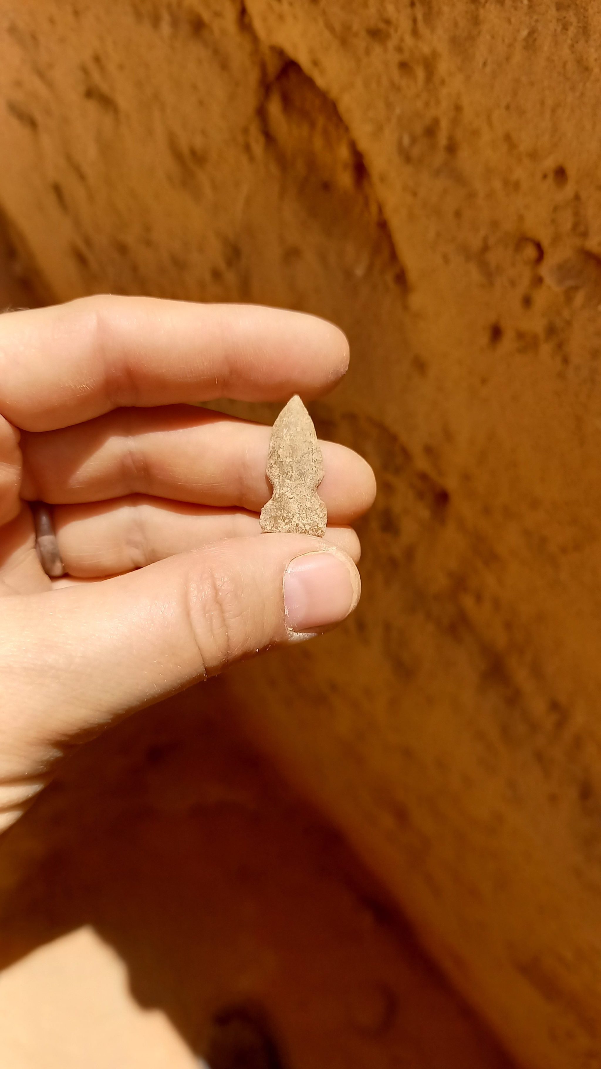 Camels depicted in 12,000-year-old rock art | Popular Science