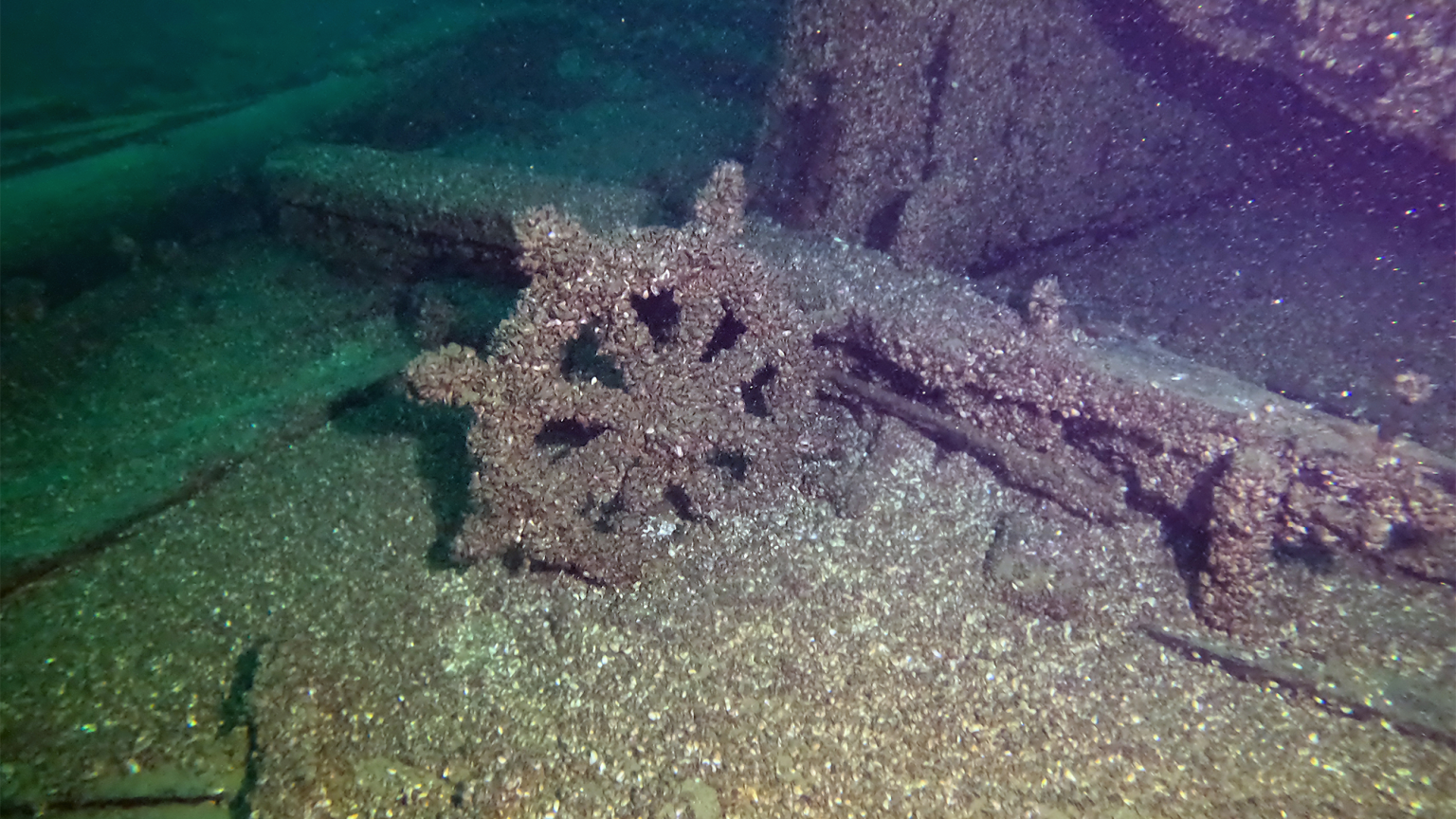 Wisconsin ‘ghost ship’ uncovered after 139 years | Popular Science