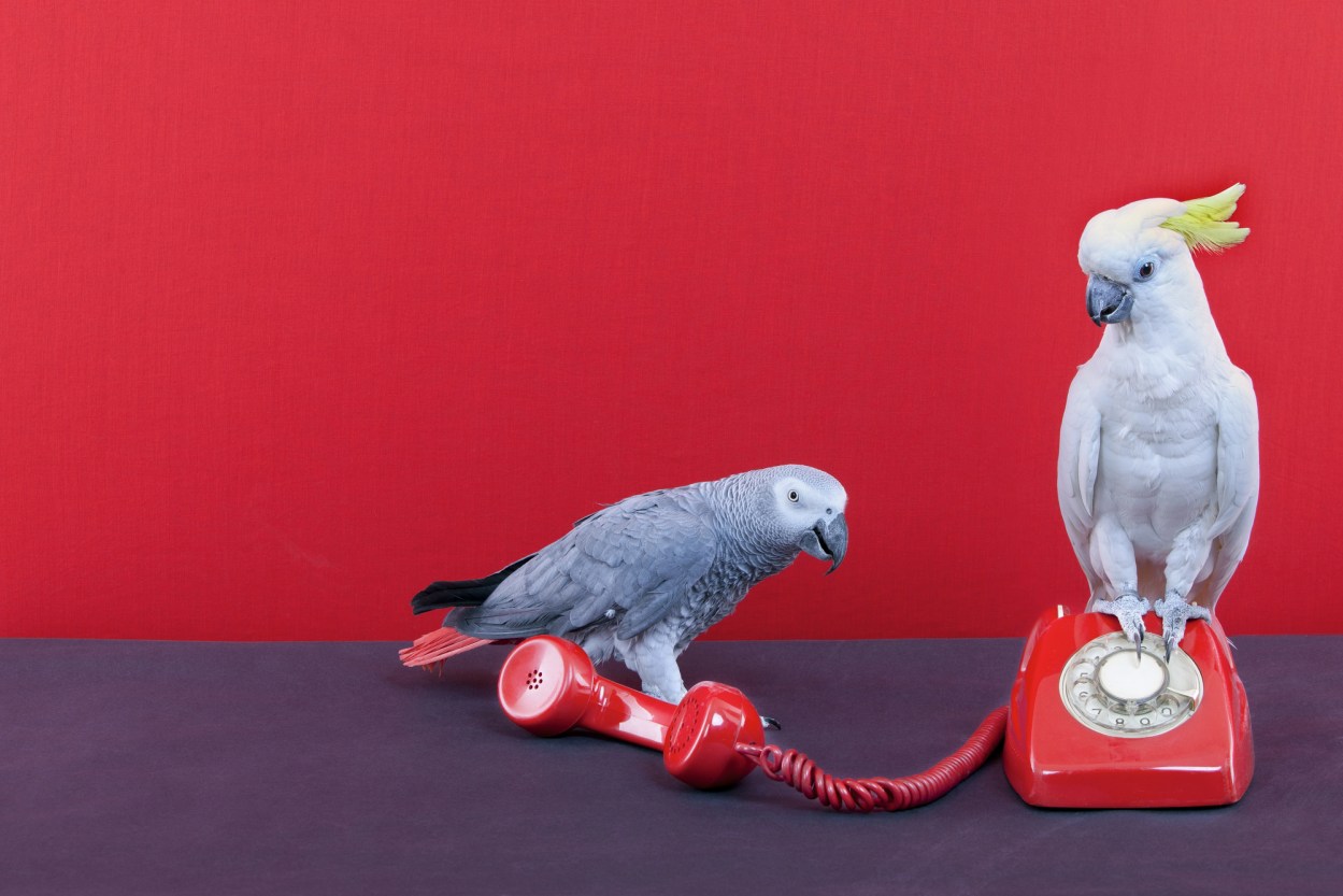 ChatGPT passed the Turing Test. Now what? | Popular Science