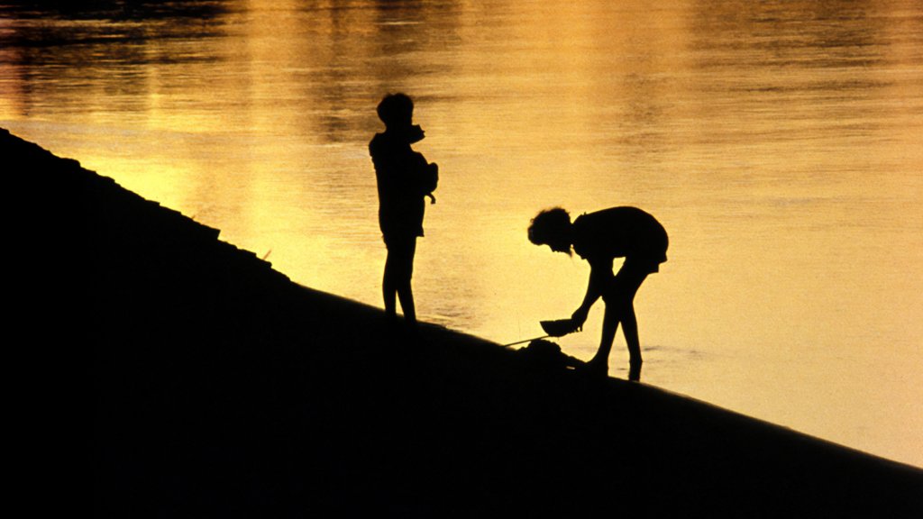 Half of all uncontacted Indigenous tribes may disappear by 2036 ...
