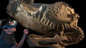 Dinosaur 'mummies' prove some dinos had hooves | Popular Science