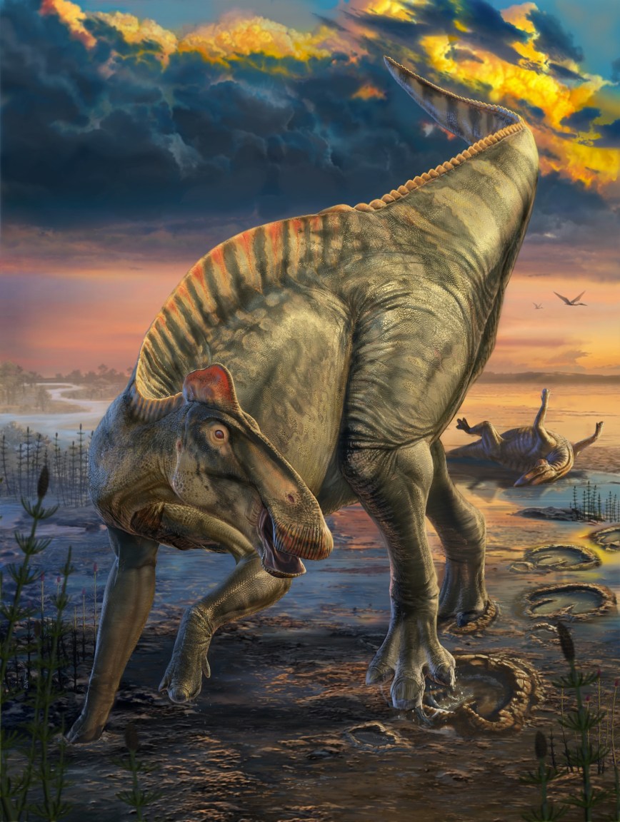 Dinosaur 'mummies' prove some dinos had hooves | Popular Science