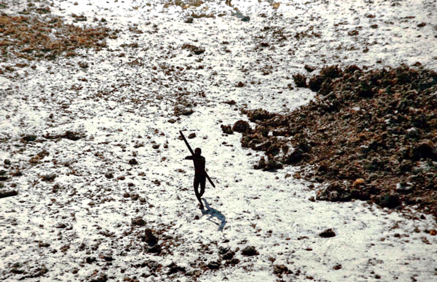 Half of all uncontacted Indigenous tribes may disappear by 2036 ...