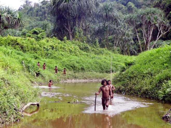 Half of all uncontacted Indigenous tribes may disappear by 2036 ...