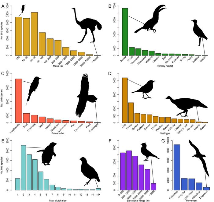Explore a bird database with 11,500 species | Popular Science