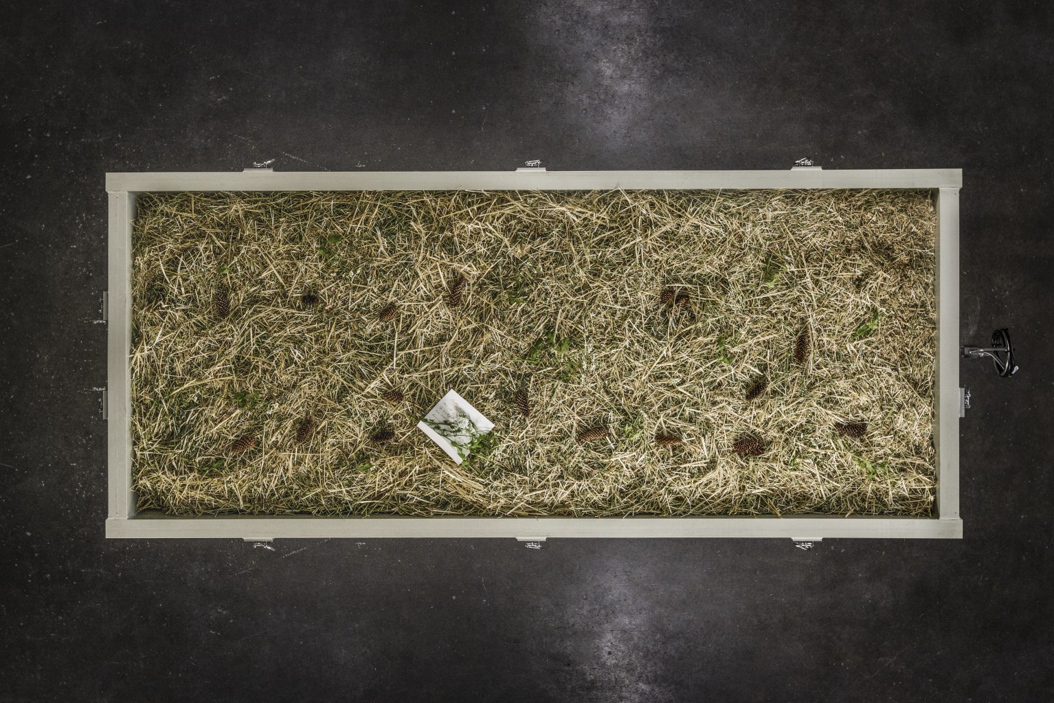 How human composting turns bodies into soil | Popular Science