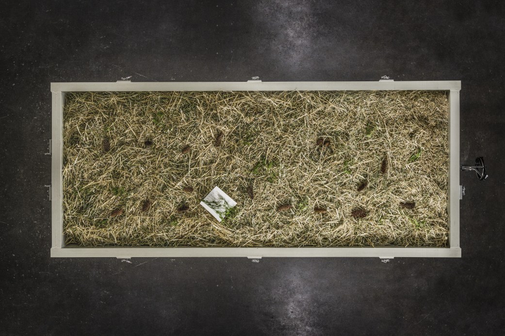 How human composting turns bodies into soil | Popular Science