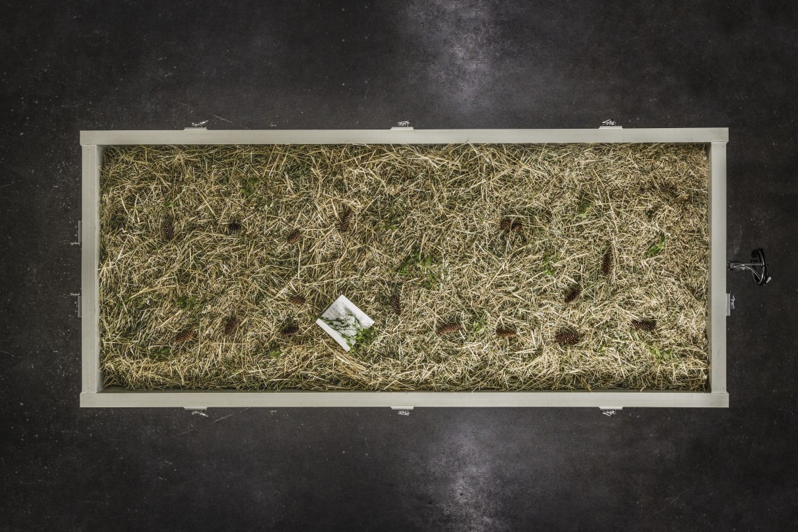 How human composting turns bodies into soil | Popular Science