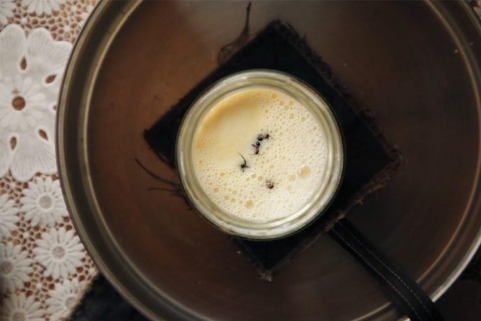 Ants can be used to make 'tangy' yogurt | Popular Science