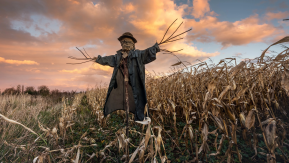 How scarecrows went from ancient magic to fall horror fodder | Popular ...