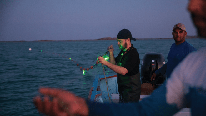 Saving sea turtles with solar-powered fishing nets | Popular Science