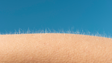 Why you get goosebumps when you’re scared—or inspired | Popular Science