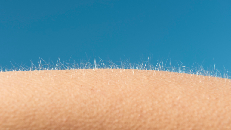 Why you get goosebumps when you’re scared—or inspired | Popular Science
