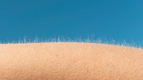 Why you get goosebumps when you’re scared—or inspired | Popular Science