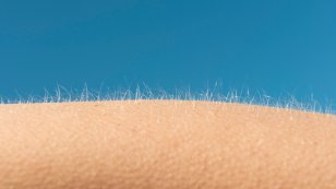 Why you get goosebumps when you’re scared—or inspired | Popular Science