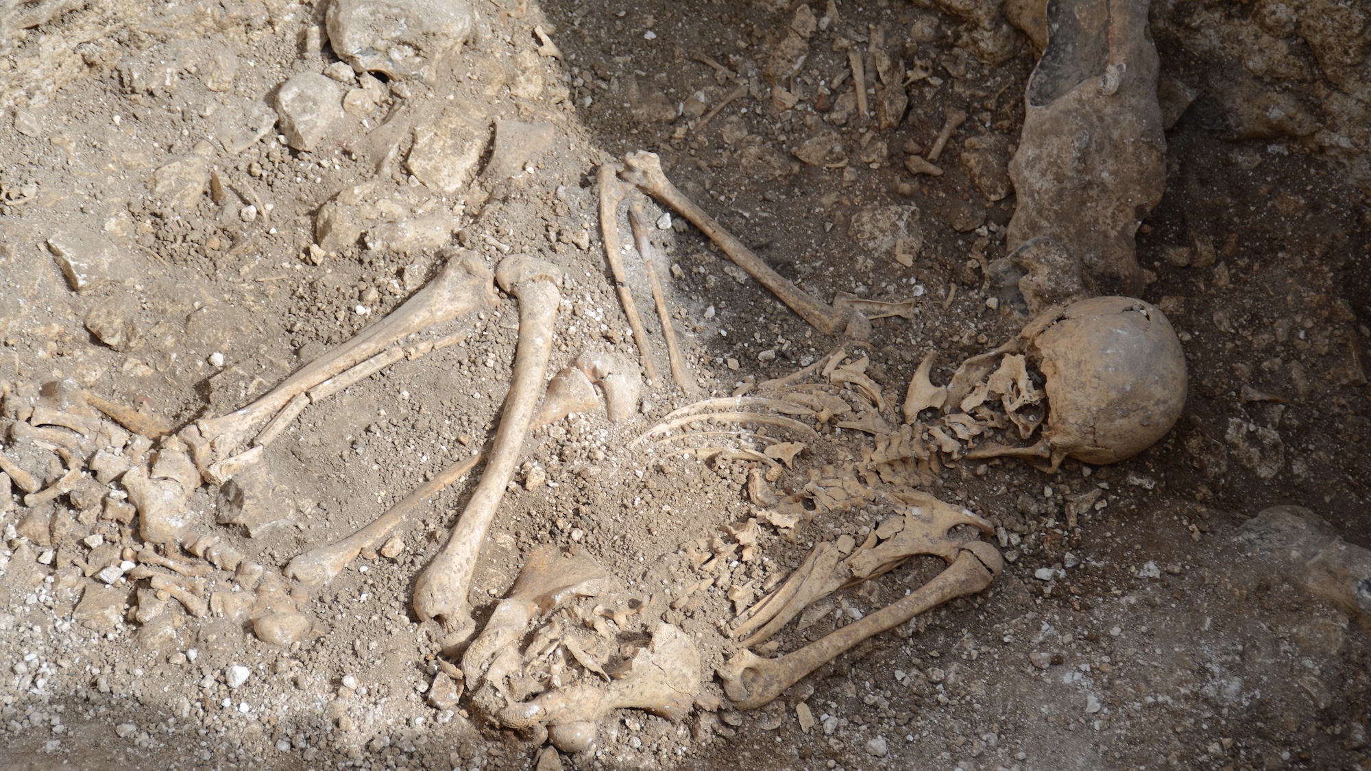 Celtic women held power—and were sacrificed | Popular Science