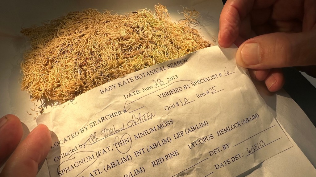 Moss can be a key witness in murder investigations | Popular Science