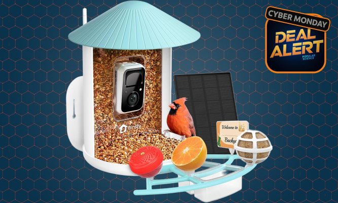 Amazon slashed Birdfy smart bird feeder cameras to their lowest prices ...