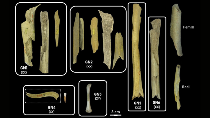 The Neanderthals who ate their neighbors | Popular Science