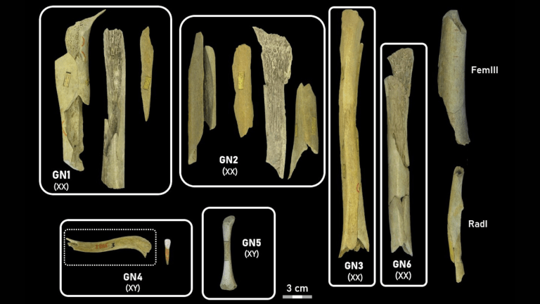 The Neanderthals who ate their neighbors | Popular Science