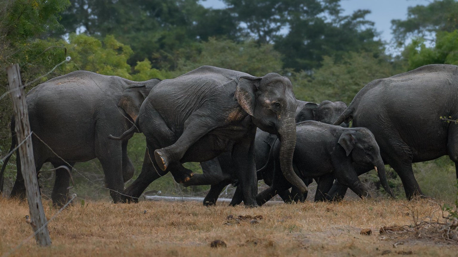 17 images capturing the brutality and beauty of nature | Popular Science