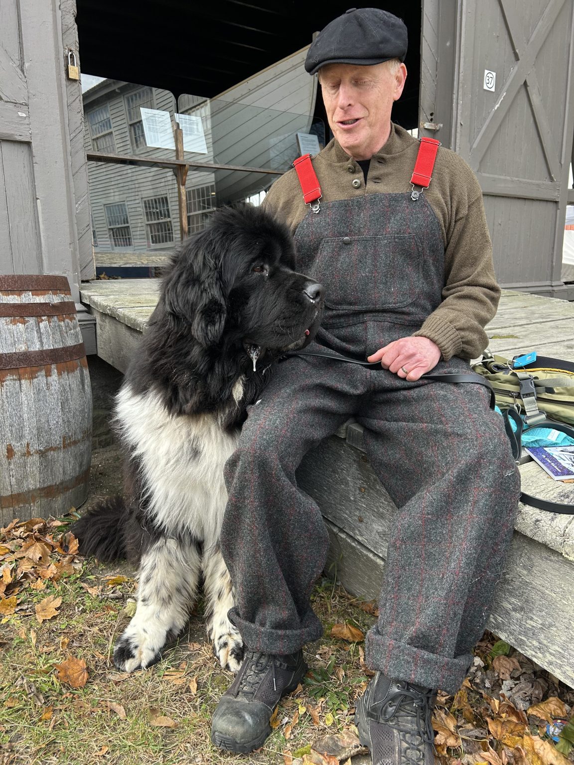 A day with Newfoundlands, the original ship's dog | Popular Science