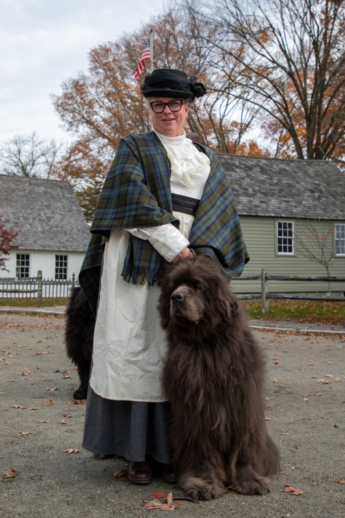 A day with Newfoundlands, the original ship's dog | Popular Science