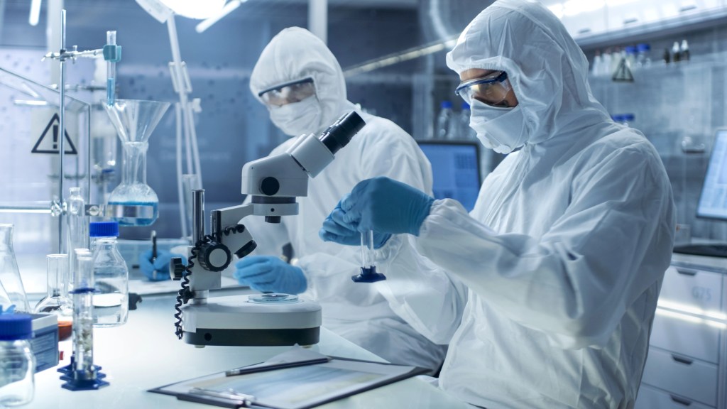 How scientists analyze ancient DNA from old bones | Popular Science