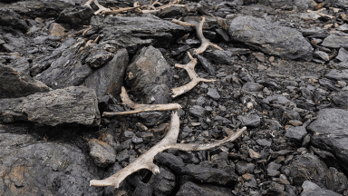 Hiker stumbles on massive medieval reindeer traps in Norway | Popular ...