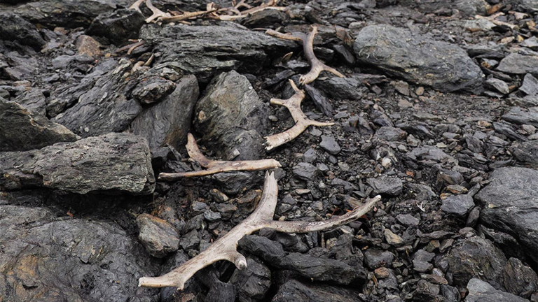 Hiker stumbles on massive medieval reindeer traps in Norway | Popular ...