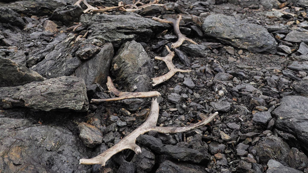 Hiker stumbles on massive medieval reindeer traps in Norway | Popular ...