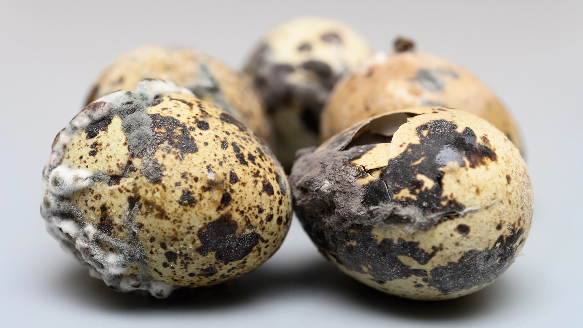 Stinky 'rotten egg' gas could fight nail infections | Popular Science