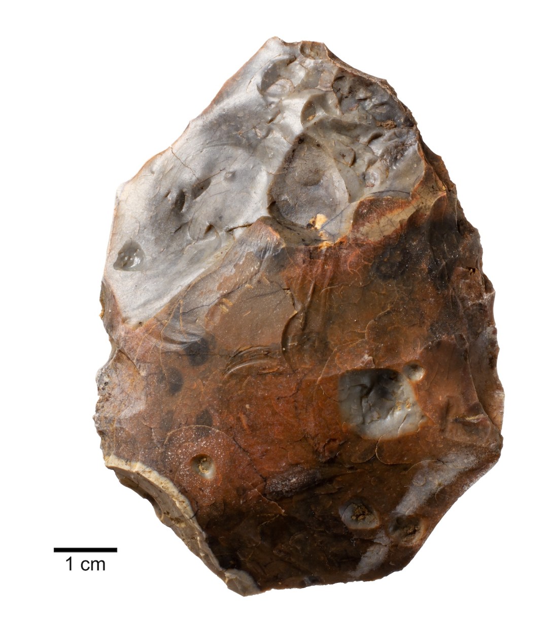 Neanderthals harnessed fire 350,000 years earlier than previously ...