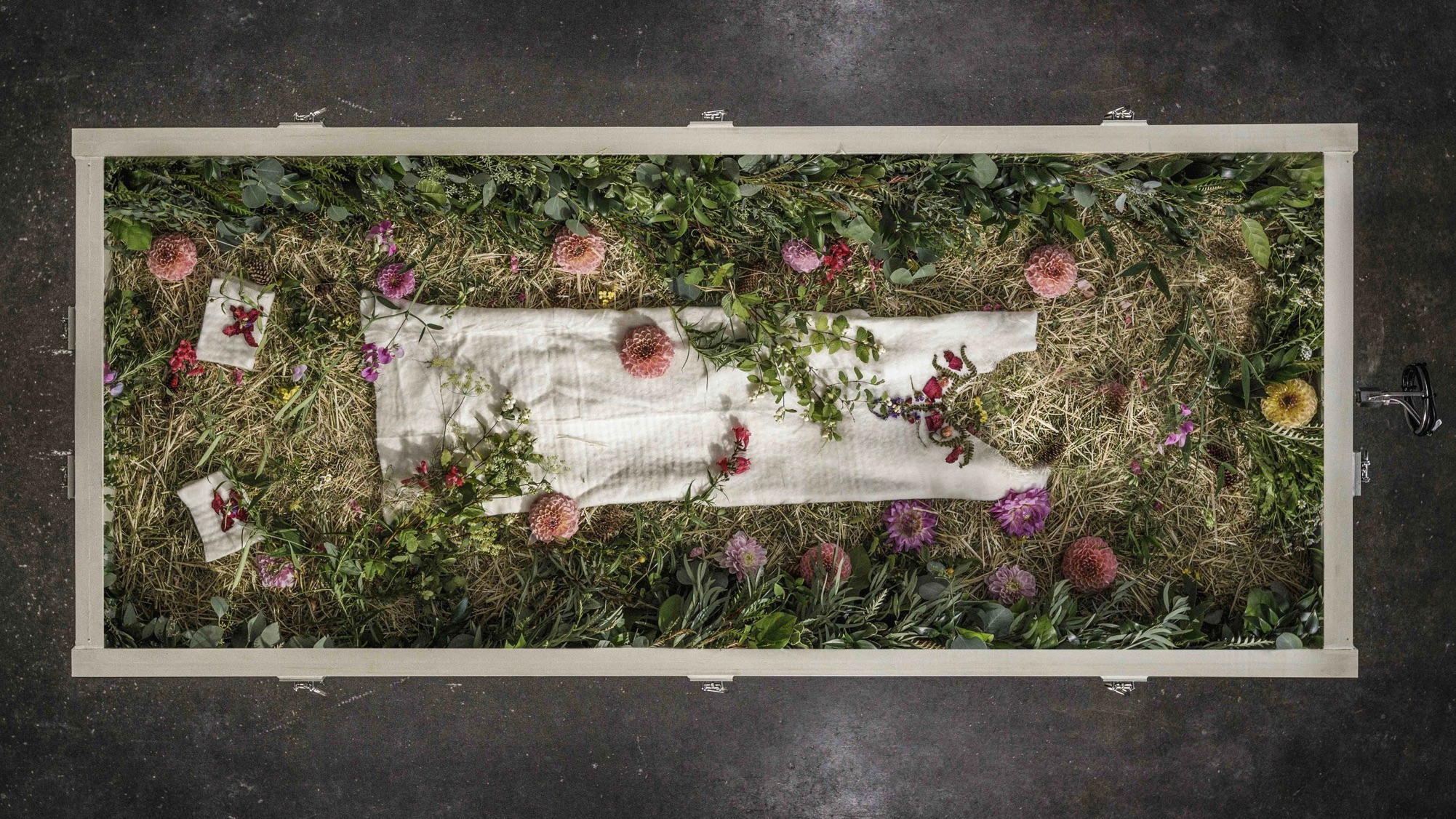Cremation or casket? Here's the most eco-friendly burial option ...