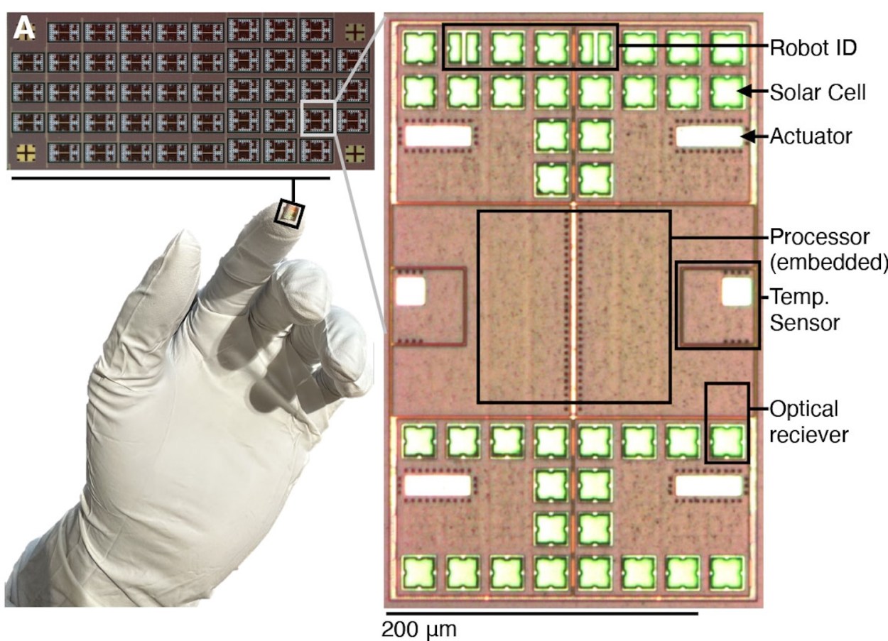 Dancing robot is the size of a grain of salt | Popular Science