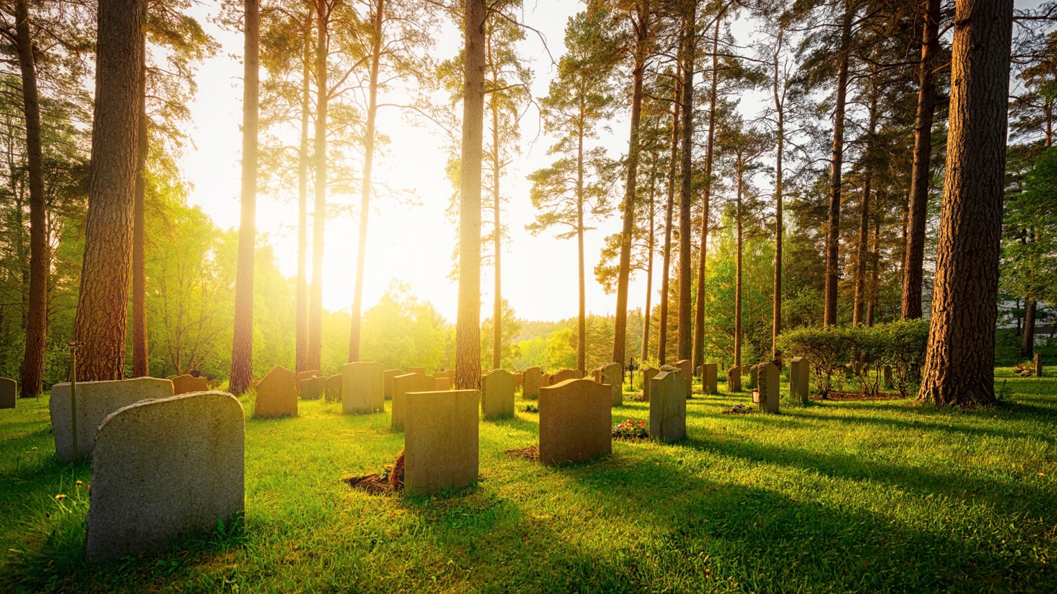 Cremation or casket? Here's the most eco-friendly burial option. | Popular Science