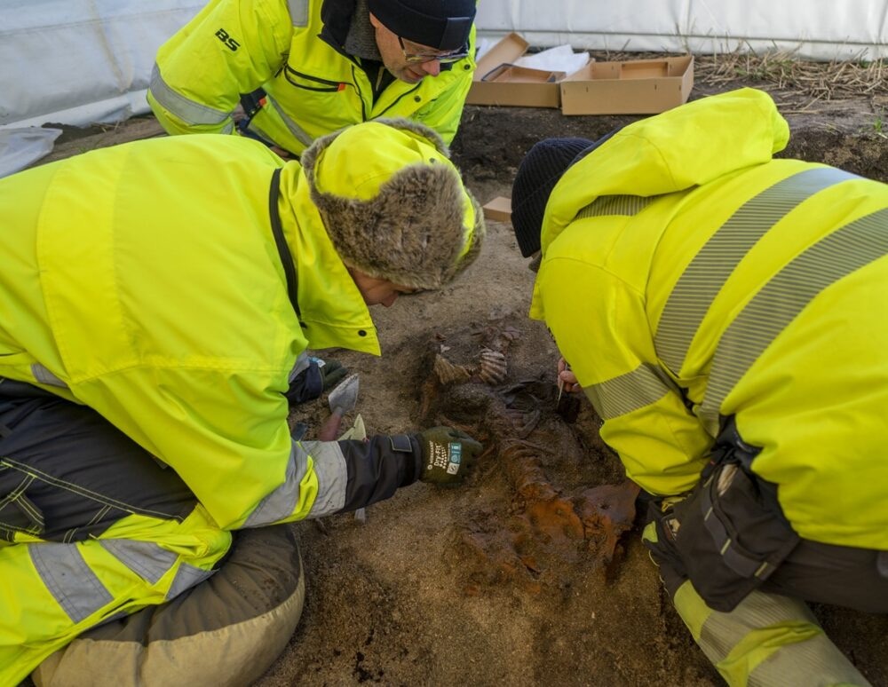 Man with metal detector stumbles on perplexing Viking Age grave ...