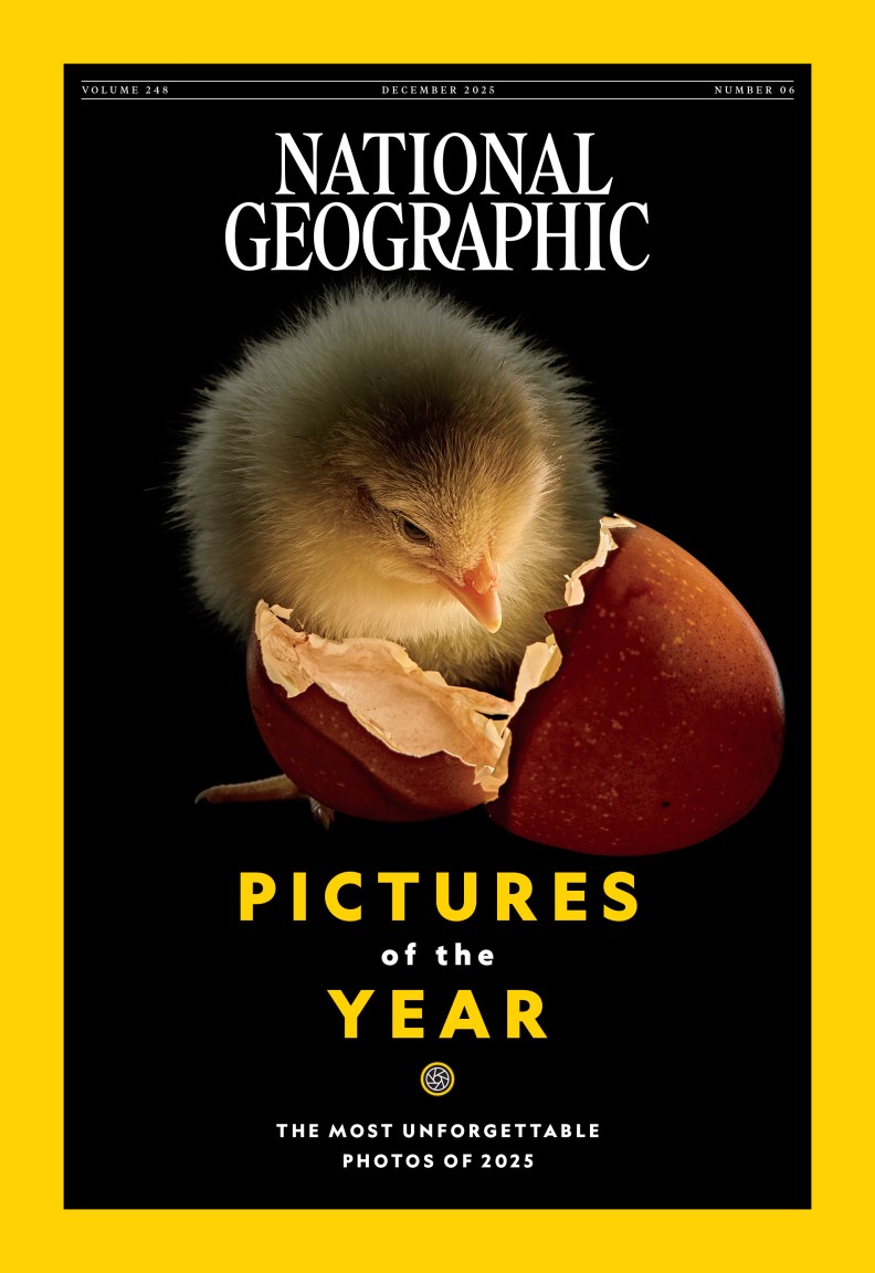 5 captivating images from National Geographic’s Pictures of the Year ...
