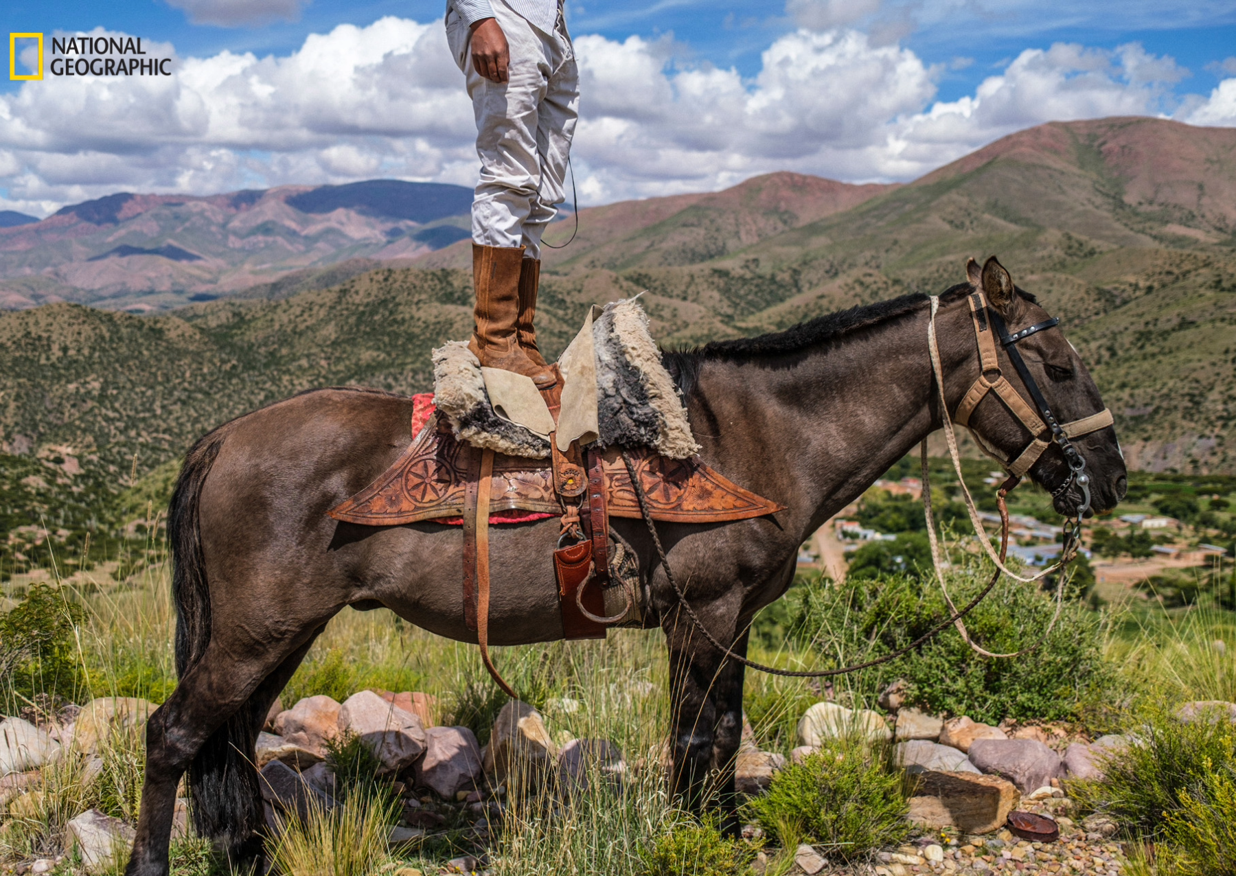 5 captivating images from National Geographic’s Pictures of the Year ...
