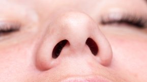 Why we have two nostrils instead of one big hole | Popular Science