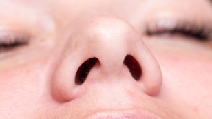 Why we have two nostrils instead of one big hole | Popular Science