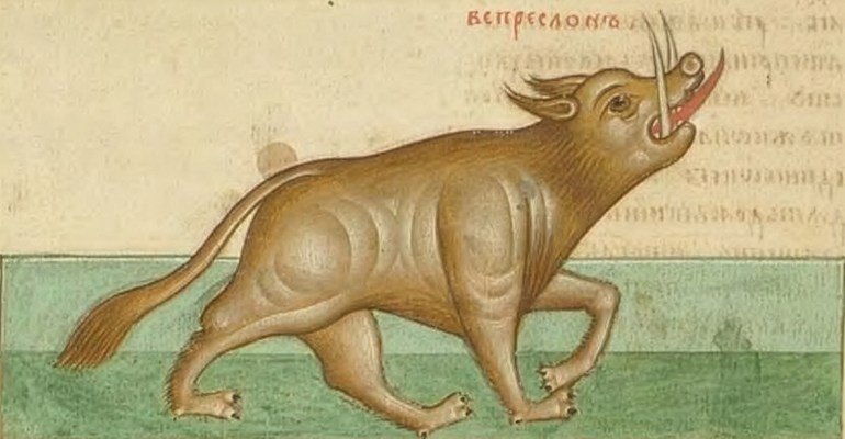 In medieval France, murderous pigs faced trial and execution | Popular ...
