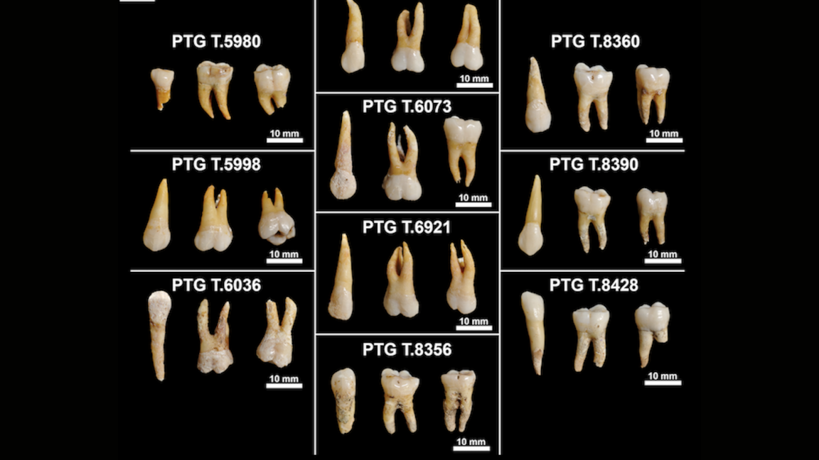 Iron Age teeth reveal the hidden lives of ancient Italians | Popular ...