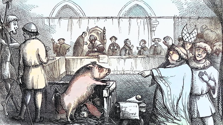In medieval France, murderous pigs faced trial and execution | Popular ...