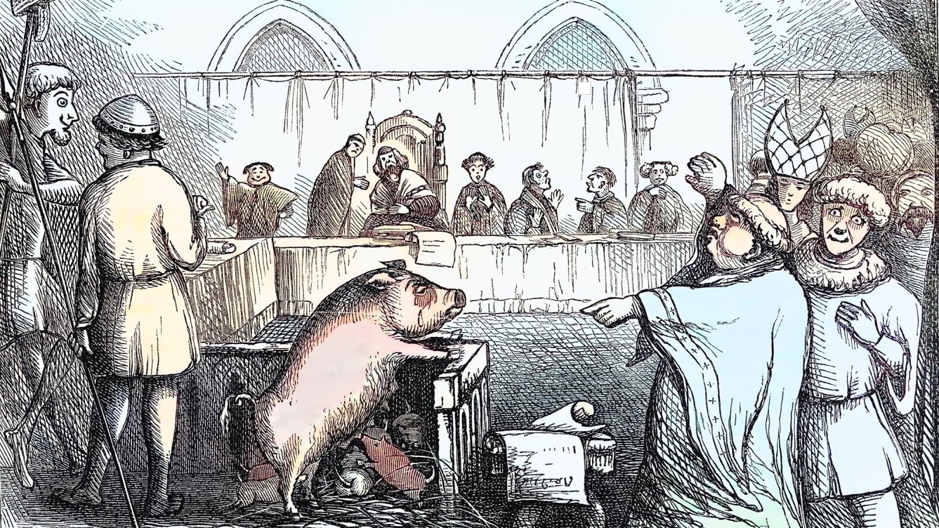 In medieval France, murderous pigs faced trial and execution | Popular ...