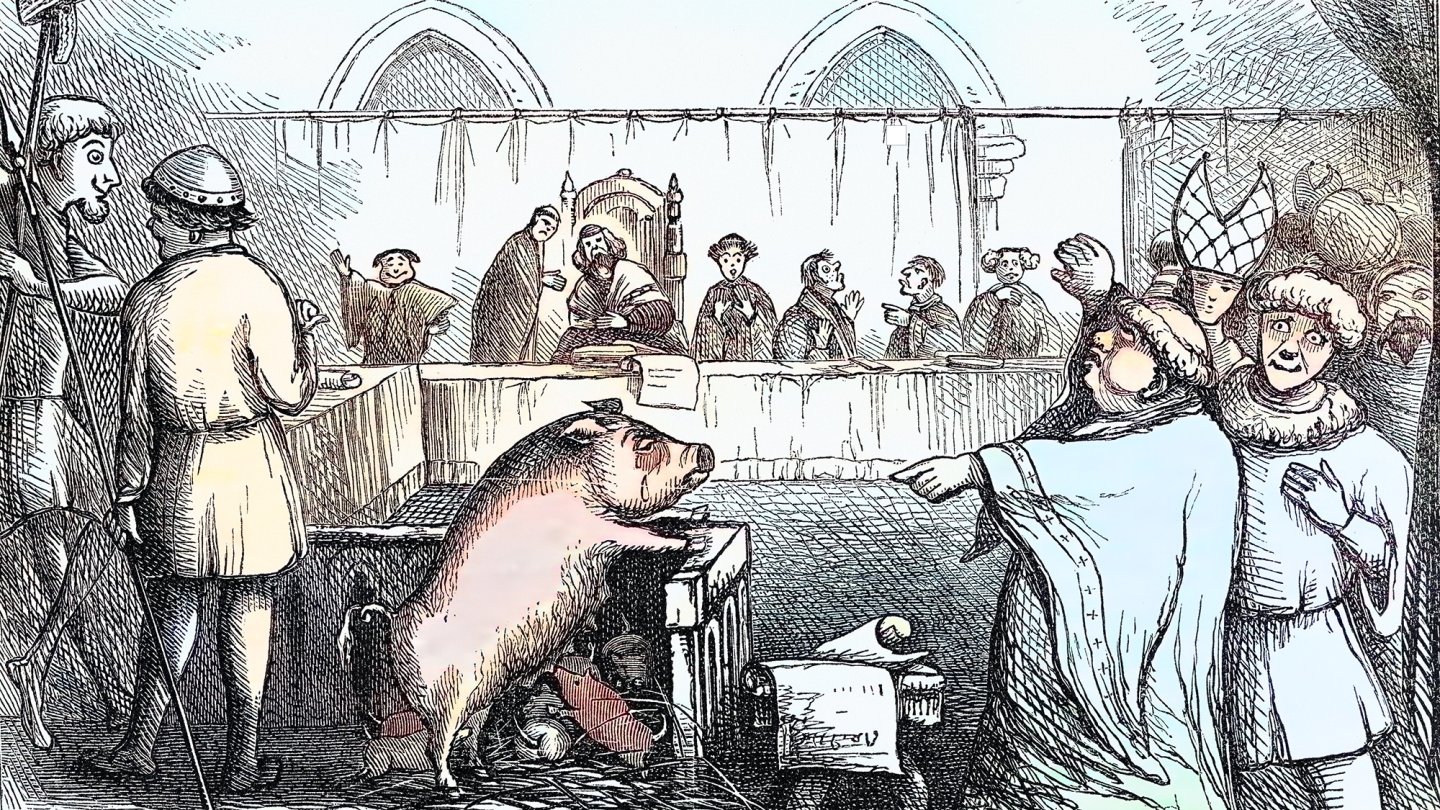 In medieval France, murderous pigs faced trial and execution | Popular ...