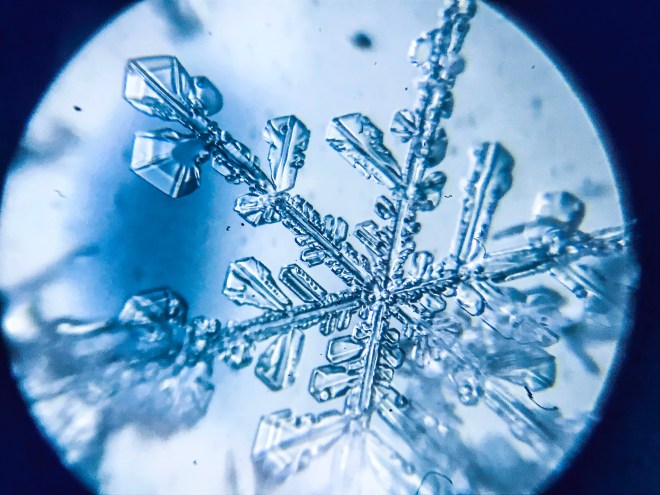 Snow isn't actually white | Popular Science