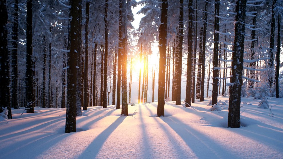 Snow isn't actually white | Popular Science