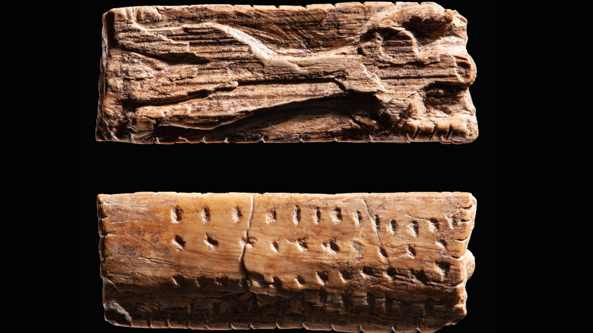 Earliest known writing dates back over 40,000 years | Popular Science